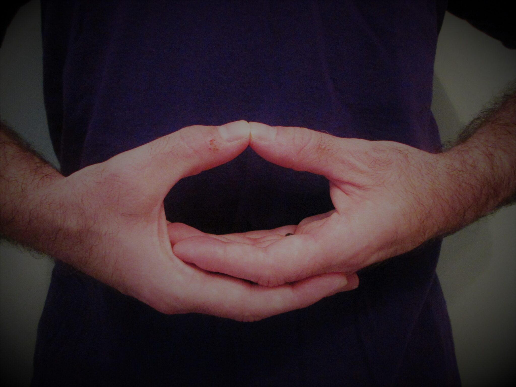 Mindfulness in karate training – Mindfulkindfulness